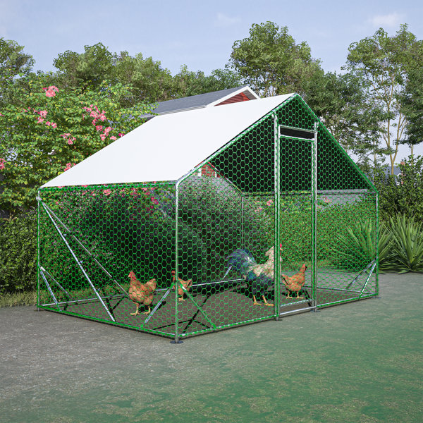 Tucker Murphy Pet™ Emelye Chicken Run with Chicken Roost Ladder | Wayfair